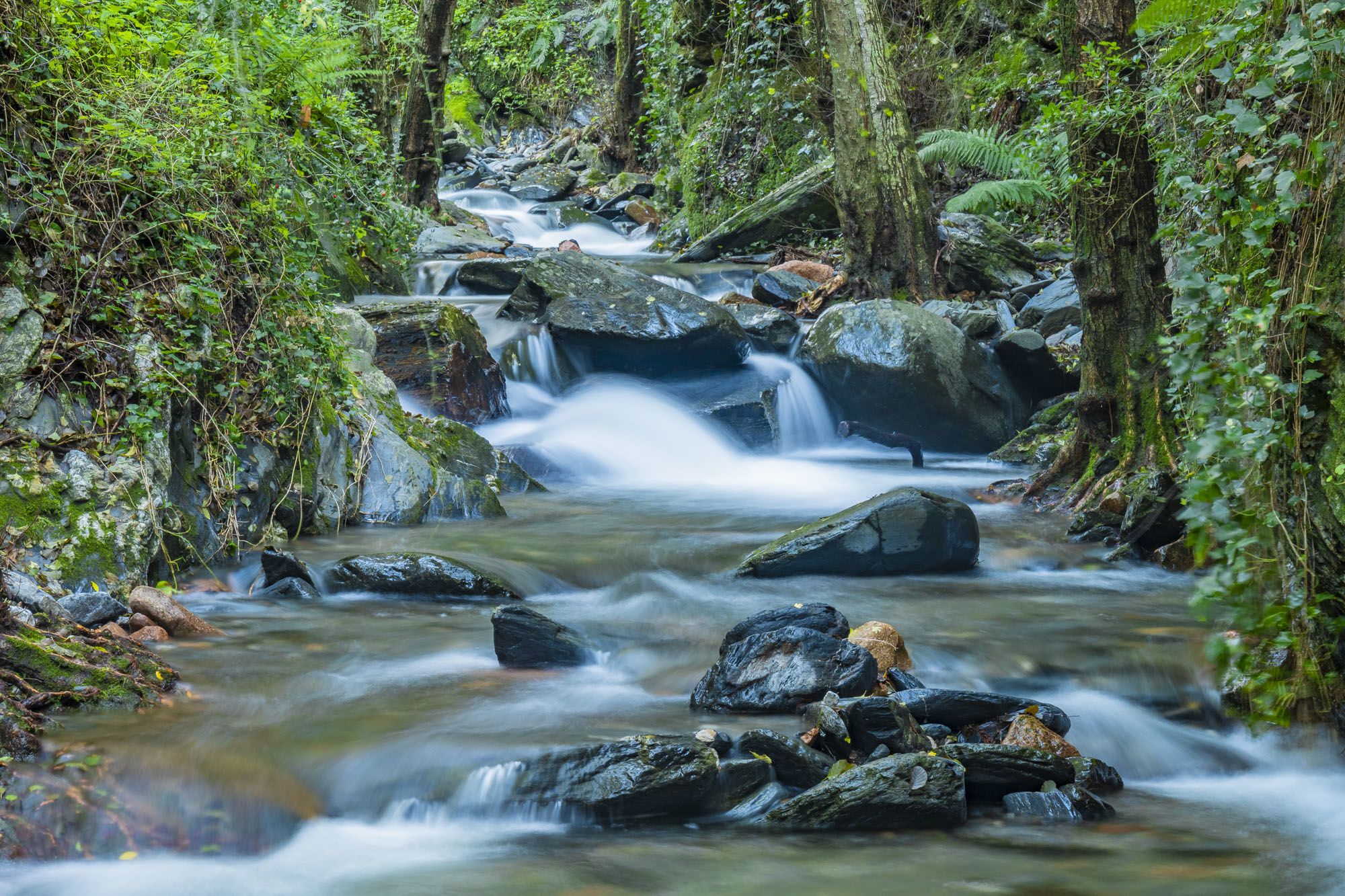 Descubre los misterios de 12 parques naturales de Barcelona en ‘Parcs ...